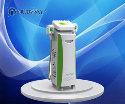 China last 4 days for whole year biggest promotion popular fat removal machine Cryolipolysis body slimming machine for sale