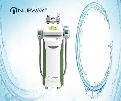 China hot sale 3 technologies 5 handles whole body slimming machine cryolipolysis body slimming machine for sale