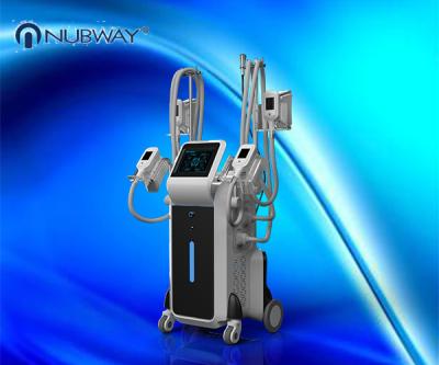 China professional 4 cryo handles cryolipolysis body slimming machine for sale