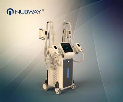China hot sale professional 4 cryo handles cryolipolysis body slimming machine for sale