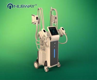 China hot sale 4 handles fat freeze cryolipolysis machine for sale