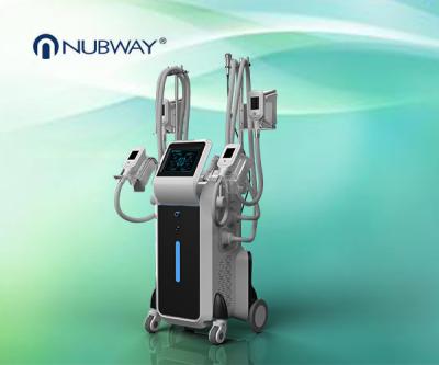China 4 handles fat removal cryolipolysis body slimming machine for sale