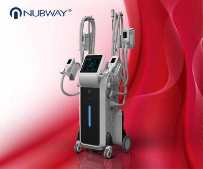 China 4 Handles Body Slimming Fat Freezing cryolipolysis slimming machine for sale