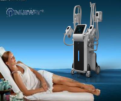 China 2019 Newest  Whole body slimming, hot sale cryolipolysis 4 handles fat removal machine with double chin handpiece for sale