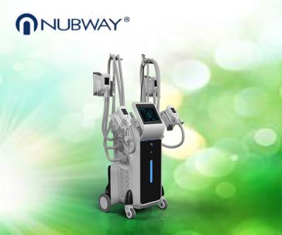 China 4 handles same time working cool sculpting fat removal machine for sale