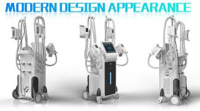 China hot sale 4 together working handles cryolipolysis body slimming machine for sale