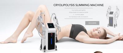 China 2019 lastest CE approval body slimming 4 handles cryolipolysis freezefats machine for sale