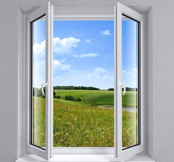 Quality Double Glazed Windproof Glass Casement Window With Mosquito Screen PVC / UPVC Frame for sale