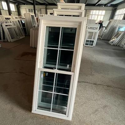 Cina Finestra a doppio vetro singola 30x48 UPVC PVC single hang vinyl in vendita