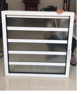 Китай Карибский регион Лувер окон с экраном окна продается