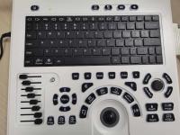 China USG OB GYN Portable Ultrasound Machine with IMT Automatic Measurement 12.1