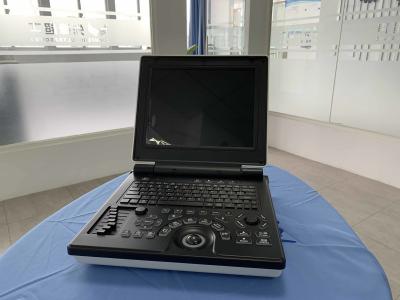 Cina Rappresentazione 12in della macchina di ultrasuono di doppler del computer portatile Windows7 con il trasduttore doppio in vendita