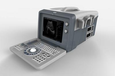 China Durable Portable 2D Echo Machine Micro Convex Medical Ultrasound Machine for sale