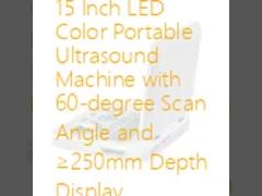 15 Inch LED Color Portable Ultrasound Machine with 60-degree Scan Angle and ≥250mm Depth Display