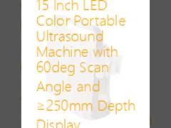 15 Inch LED Color Portable Ultrasound Machine with 60deg Scan Angle and ≥250mm Depth Display