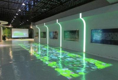 Cina Proiettori interattivi del pavimento di pubblicità dell'interno per la mostra giusta/festa nuziale in vendita