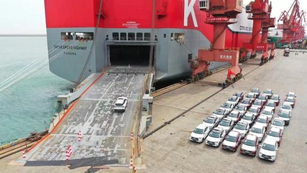 Quality Professional RORO Shipping Service From China To Malaysia roro shipping lines for sale