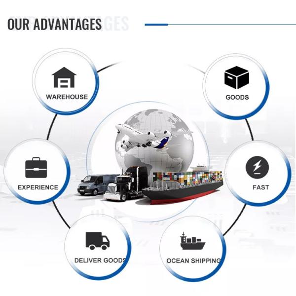 Quality EK TK Xiamen Freight Forwarder Air Freight Transport Services / International for sale