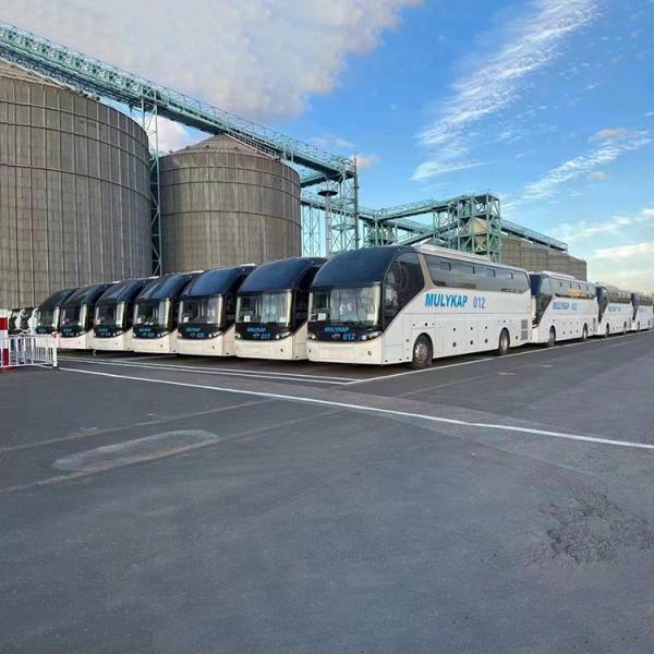 Quality Roro Ocean Freight Service From China To Australia Roro Shipping Lines for sale