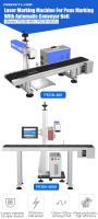 China Automatic Laser Marking Machine With Customized Pen Modules for sale