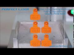 Máquina de marcação a laser para etiqueta de orelha de animal Máquina de corte a laser 20W 30W 50W
