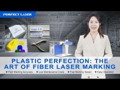 20W 30W 50W fiberlasermarkeermachine voor metaal en kunststof met CE FDA