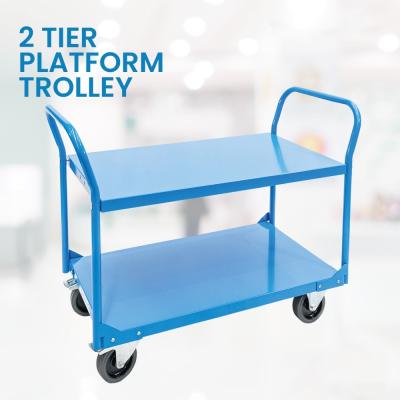 Cina Carretto pratico su misura del metallo del carrello della fila 1200LB 2 con la doppia maniglia in vendita
