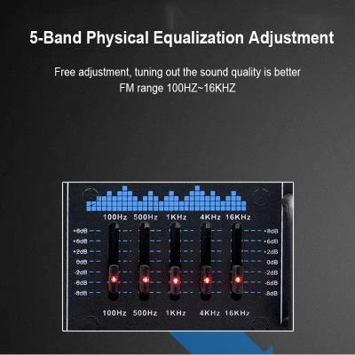 China 160W Dual Channel HiFi Stereo Audio Home Digital Amplifier Professional Tube Amplifier Module Microphone Input Remote Amplifier for sale