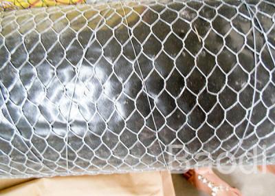 China Tela inoxidável para a proteção do coelho, baixa cerca do fio de galinha da jarda de galinha do aço carbono à venda