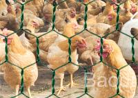 China Green Vinyl Coated Chicken Wire Mesh Hexagonal 1/2 to 3 Inch Roll 0.45-1.4mm for sale