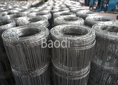 China Hot Dipped Galvanized Woven Field Fence , Sheep Wire Fencing With Rectangular Mesh Grid for sale