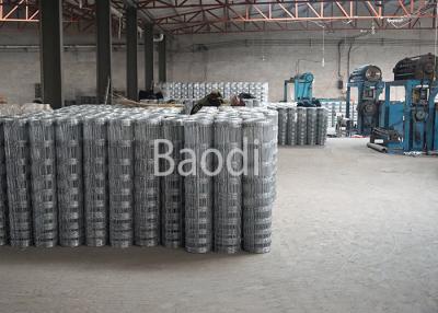 Cina Caldo del recinto di filo metallico del bestiame del nodo del giunto di cerniera immerso galvanizzato per il recinto animale in vendita