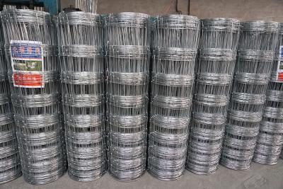 China Knot Types Fixed Knot / Square Knot / Hinge Joint Knot Cattle Fence for Natural Enclosures Eco-Conscious Barrier for sale