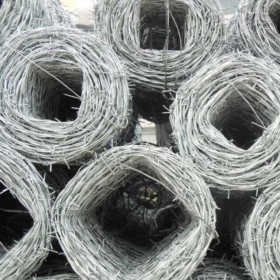 Cina 1.6mm diametro del filo di sicurezza galvanizzato filo spinato recinzione durevole per la protezione definitiva in vendita