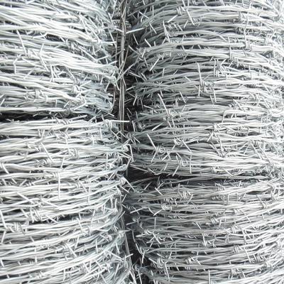 Cina 1.6mm diametro del filo di sicurezza galvanizzato filo spinato recinzione durevole per la protezione definitiva in vendita