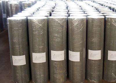 China Protecting Mesh Galvanized Welded Mesh for Construction and Fencing Custom Sizes Guaranteed for sale