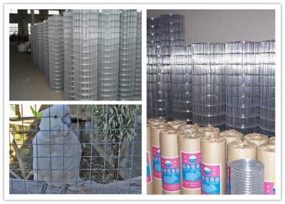 China Protecting Mesh Galvanized Welded Mesh for Construction and Fencing Custom Sizes Guaranteed for sale