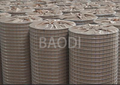 Cina Saldatura rivestita di plastica Mesh Steel Square Grid Galvanized del calibro della costruzione 16 in vendita