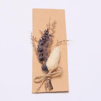 Cina Erba secca naturale variopinta di Pampa 43*15cm per l'insieme del regalo in vendita