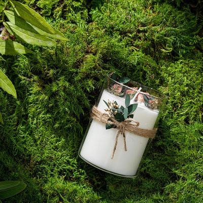 China Van de de Douaneluxe van het AROMAhuis van de het Etiketgift de Privé Kruik die van het de Doosglas Crystal Spiritual Aromatherapy Scented Soy-Kaarsen helen Te koop