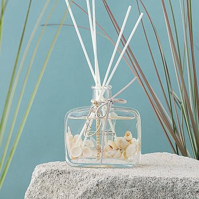 Cina L'oceano unico del contenitore della copertura del contenitore di regalo delle bottiglie ha sentito l'olio Reed Diffuser di vetro in vendita