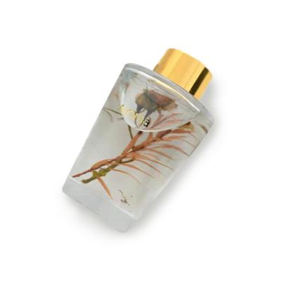 Cina Amber Patchouli Glass Reed Diffuser Mini Reed Diffuser For Bathroom in vendita