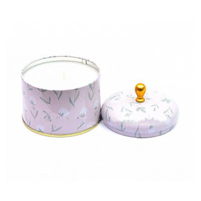 Κίνα Χειροποίητο Scented κερί 100ml 250ml δοχείων κασσίτερου μετάλλων κεριών σόγιας προς πώληση