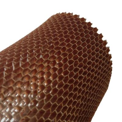 Cina Spessore personalizzabile resistente al fuoco di dimensione delle cellule del centro di favo di Aramid 3.2mm vario in vendita