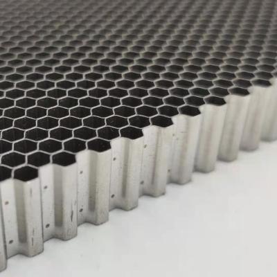 Cina 304 316L Acciaio inossidabile Honeycomb Core Honeycomb Aperture per la protezione EMI in vendita