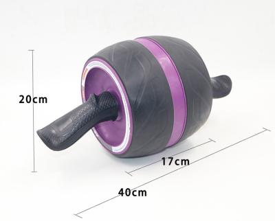 中国 Ab Wheel Roller Abdominal Roller Exercise Set Gym Fitness 6 in 1 Abdominal Roller Wheel 販売のため