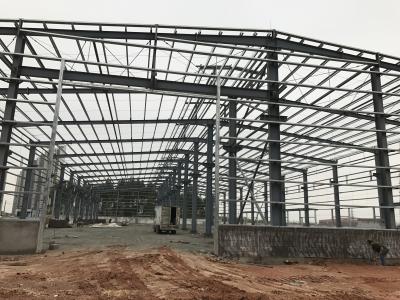Китай Ориентированный на заказчика гибкий склад стальной структуры для портняжничанной установки хранения быстрой продается