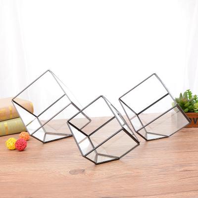 China Indoor Gardening Geometric Glass Terrarium Container Succulent Planter for sale