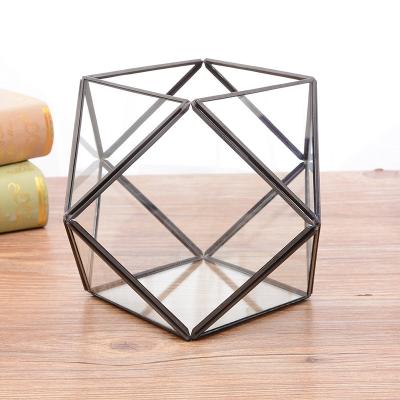 China Water Drop-Shaped Glass Geometric Terrarium Black Frame for Home for sale