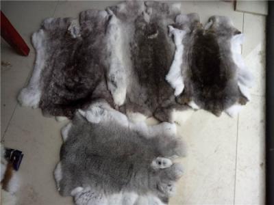 Cina la pelliccia del coniglio di 30*40cm Rex pela la morbidezza calda, pelliccia di Rex del cincillà con colore naturale/tinto in vendita